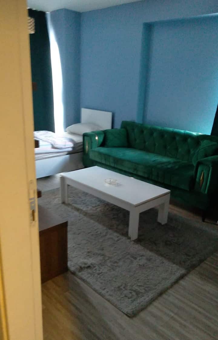 Trizm Ruhsatli óZyurtlar Otel - 