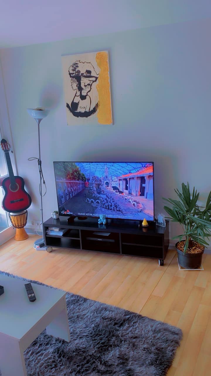 Appartement T2 Meublé - La Roche-sur-Yon