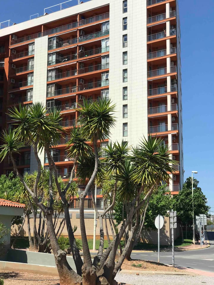 Apto Animar En Algaida Oropesa Del Mar-la Concha - Benicàssim