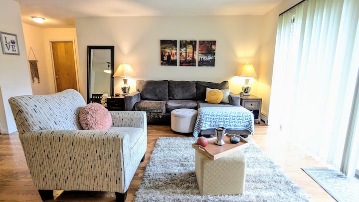 Cute Apartment In A Cute Area - Rochester