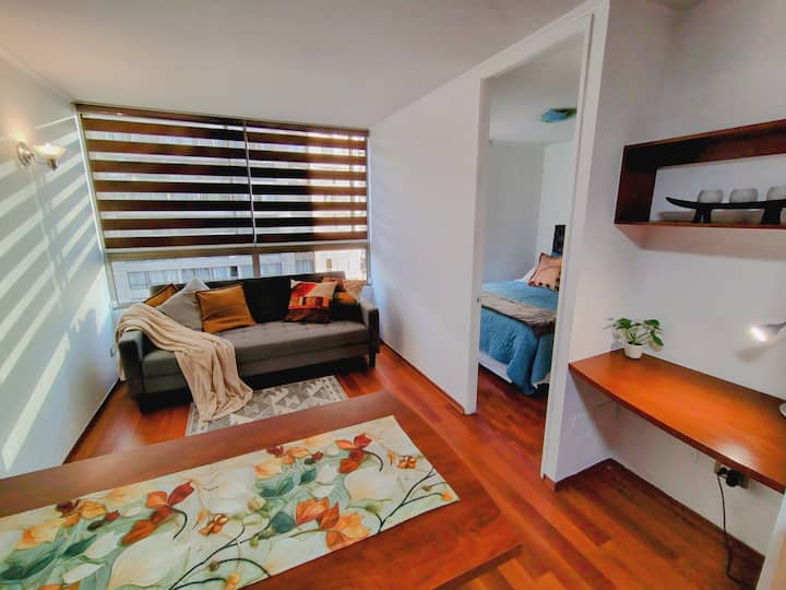 Cozy Apartment, Steps From Everywhere In Santiago - Santiago