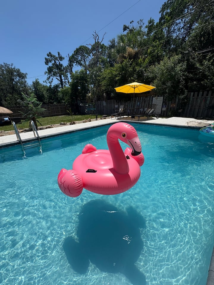 Stylish Pool Home • Near Img & Beaches • Top Rated - Longboat Key, FL