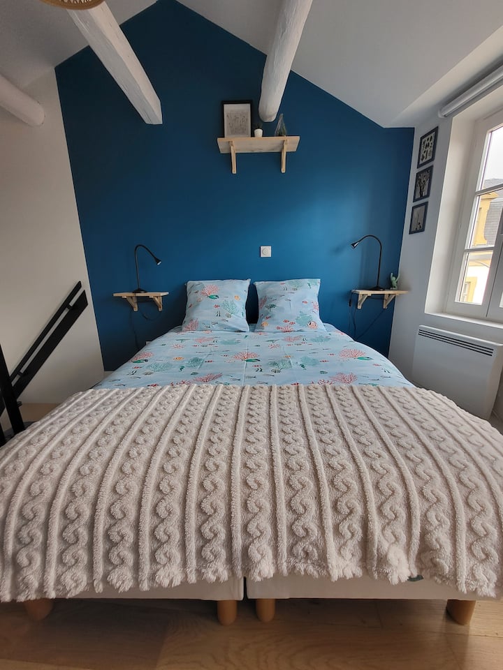 Metz Vielle Ville, Joli Duplex 30m2 - Metz