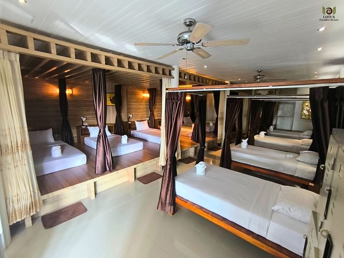 LT Premium Dorm 2 Pax : Sairee - Hotels for Rent in Ko Tao, Surat Thani ...