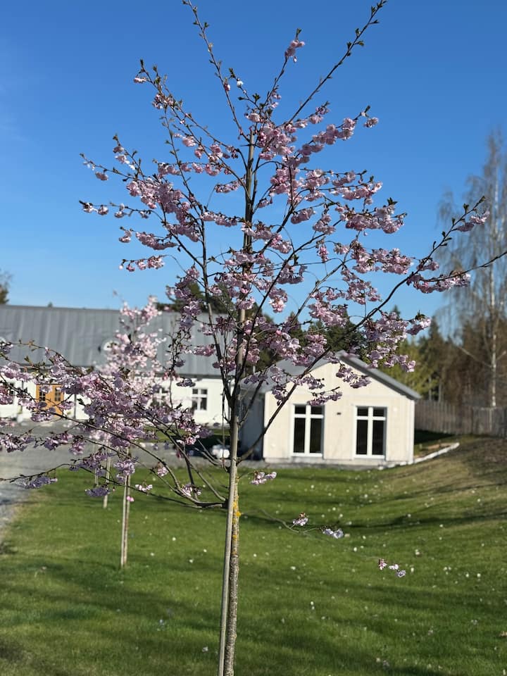 Gäststuga Villa Fiskebäck - Habo