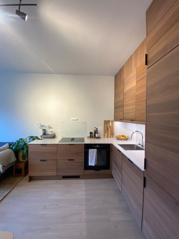Sentral Og Flott Leilighet - Oslo