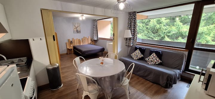 Appartement 5 Personnes Au Pied Des Pistes - Picherande