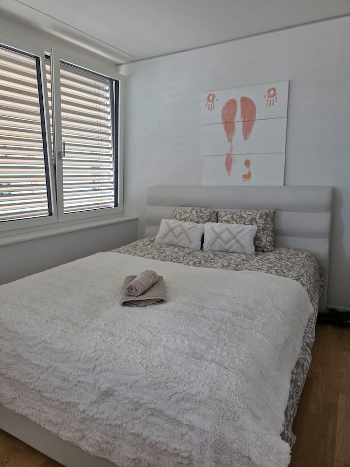 Habitación En Lausana - Lake Geneva