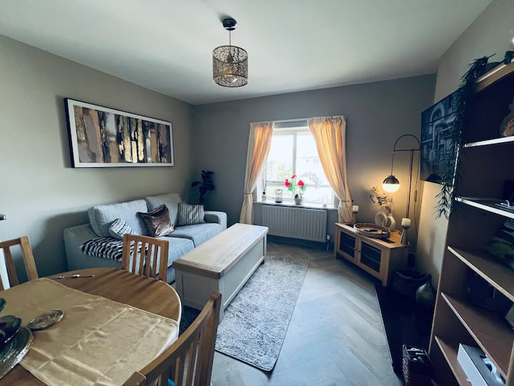 Apartment In Heart Of Cork City - Cork