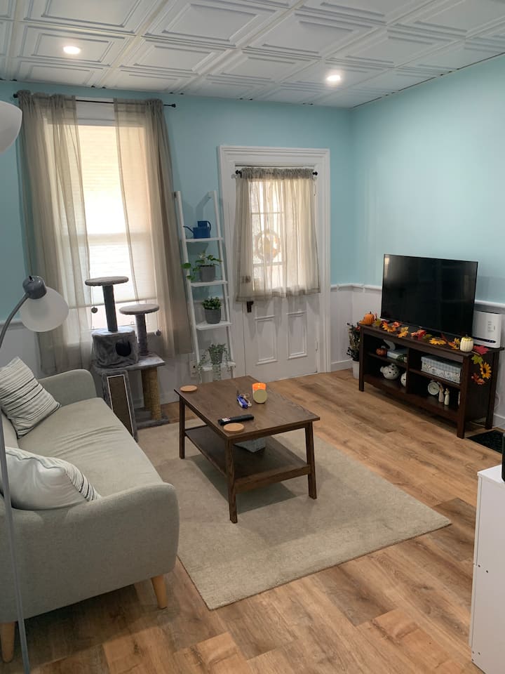 Loft Apartment In Duplex - Brockville