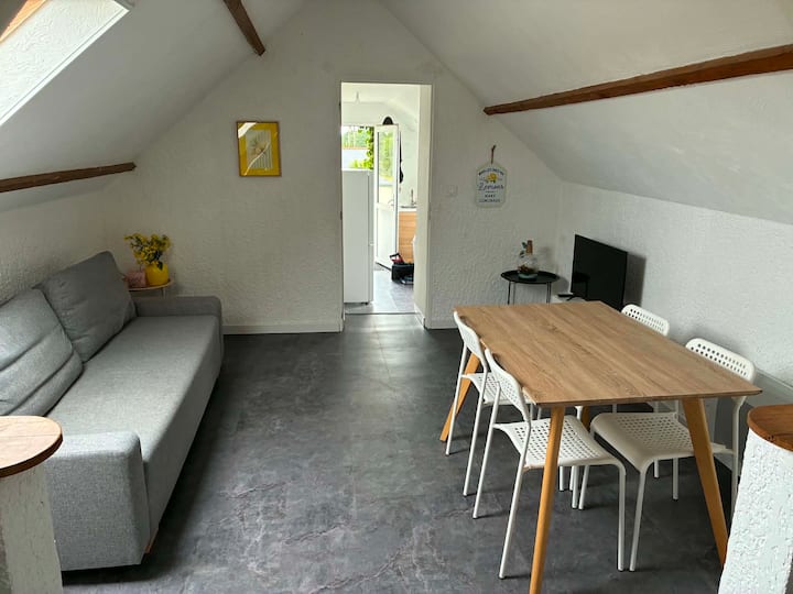 Studio Avec Vu Sur Le Loir - La Flèche