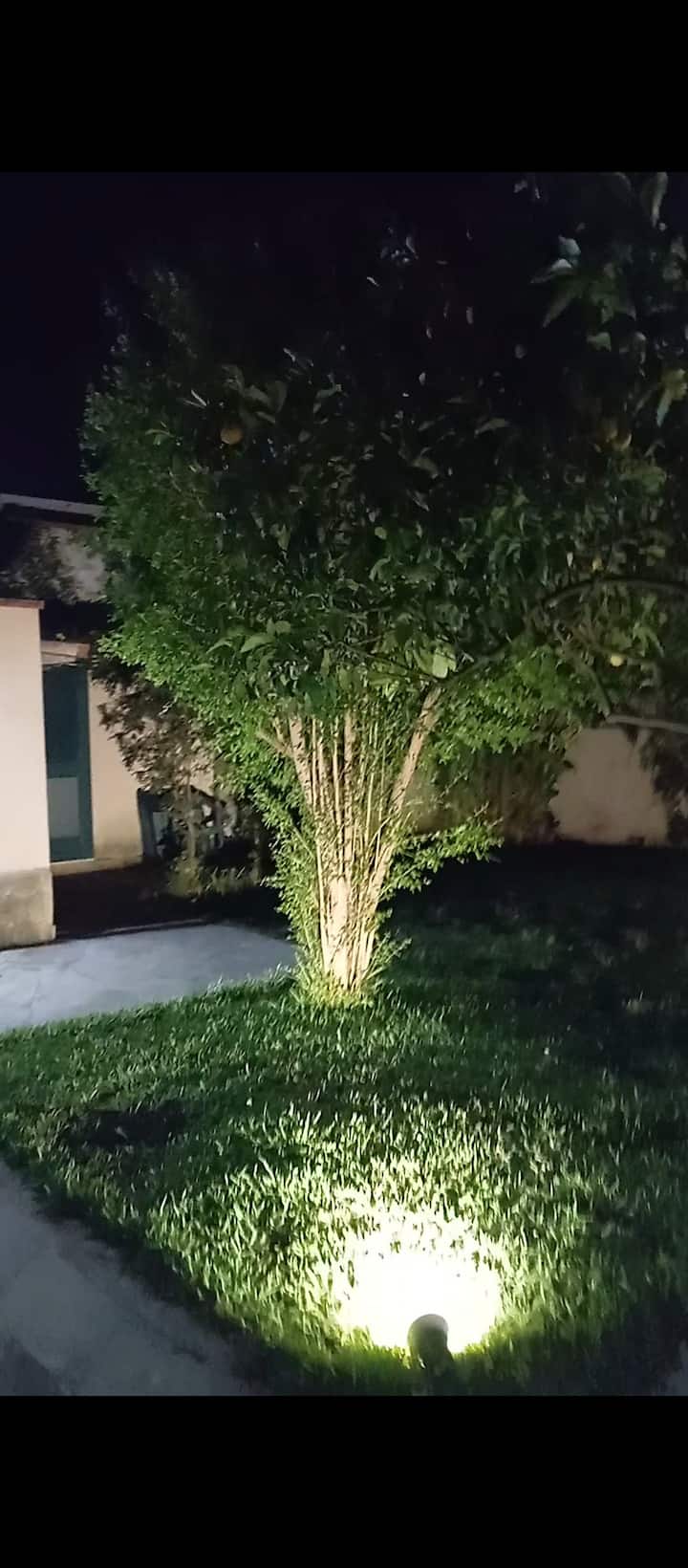 Villa Elegante Indipendente Al Mare - Capaci