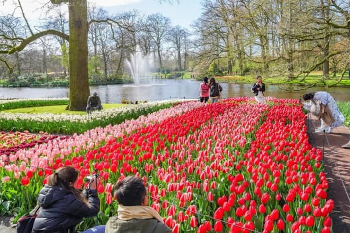 Appartement Aan De Kust, 8 Km Van Keukenhof - Noordwijkerhout