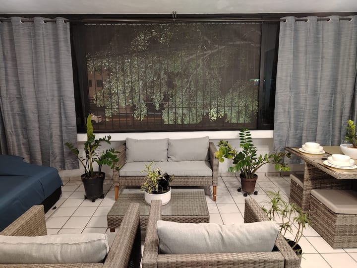 Departamento Ejecutivo - Manzanillo