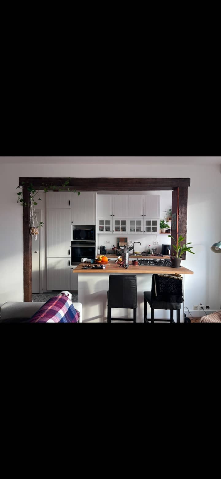 One Bedroom Apartment - Schaerbeek