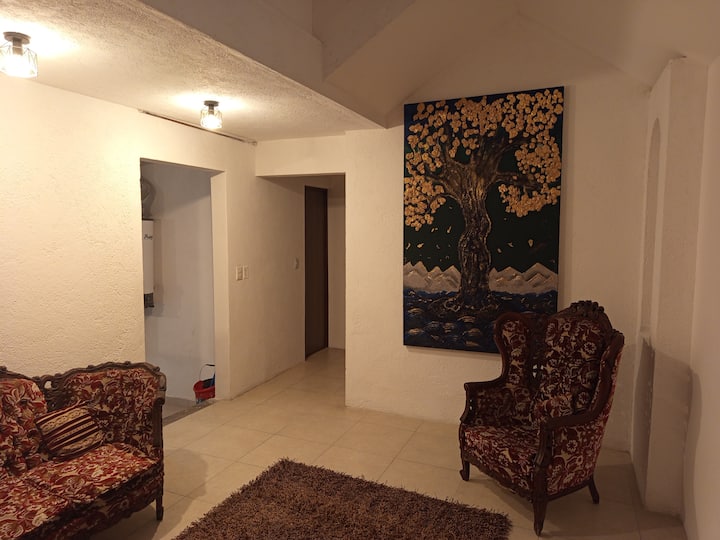Departamento Céntrico Amplio Y Cómodo - Puebla