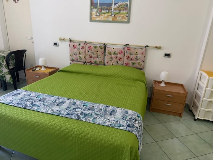 Ponzamania L'edera - Ponza