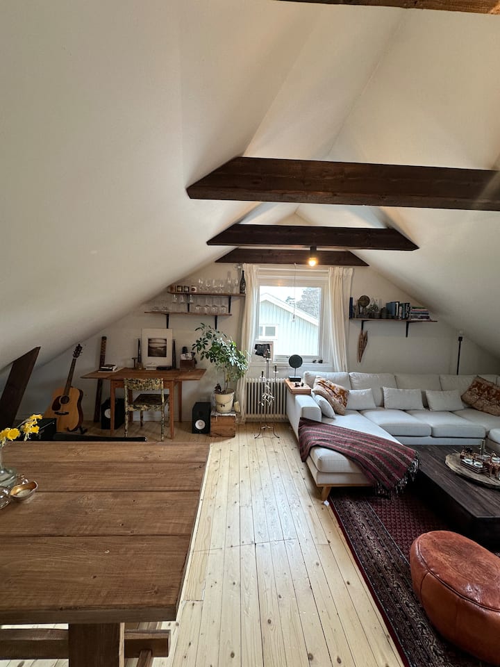 Vindsvåning Vid Slottskogen - Göteborg