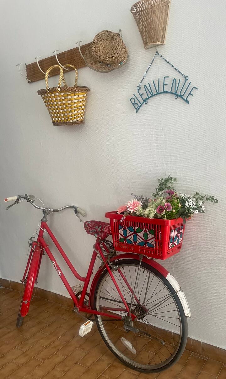 Le Petit Vélo Rouge - Arles