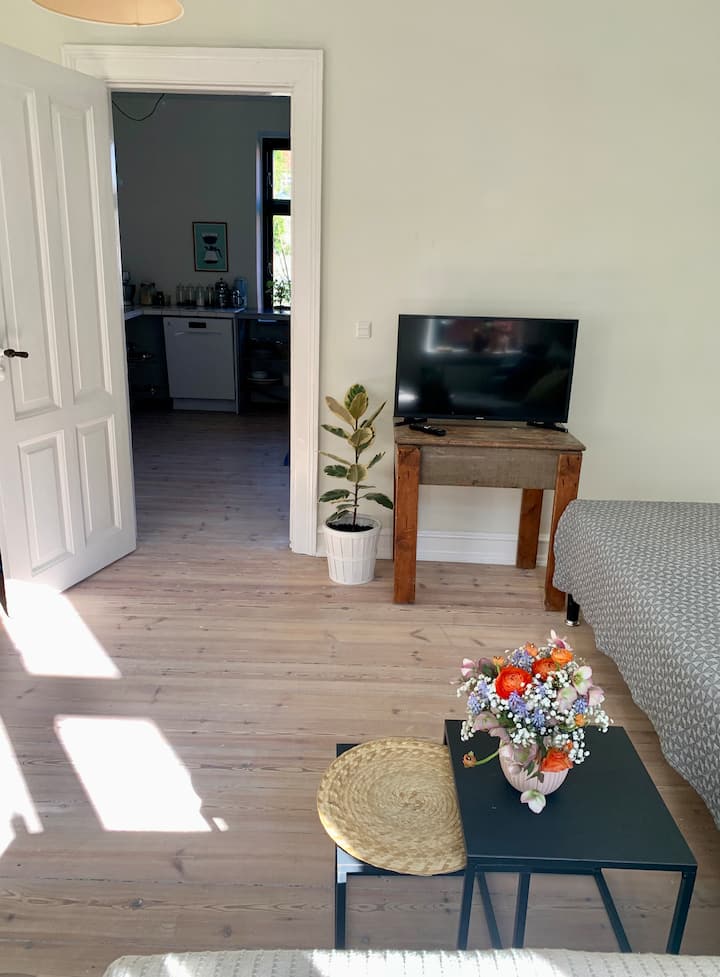 Cozy And Quiet City Apartment - Dänemark