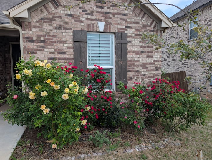 A Cozy Modern Private Oasis - Round Rock, TX