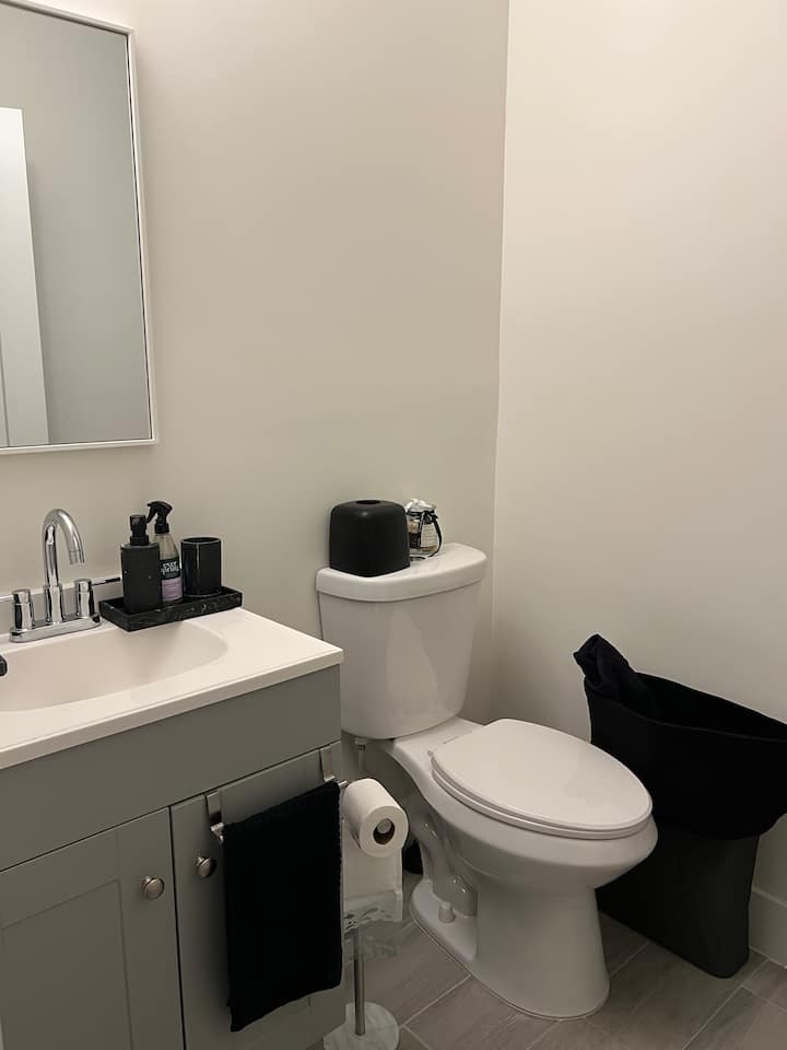 Beautiful Basement - Marietta, GA