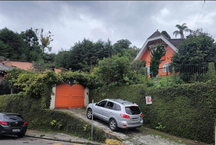 Bem-te-vi Laranja! - Campos do Jordão