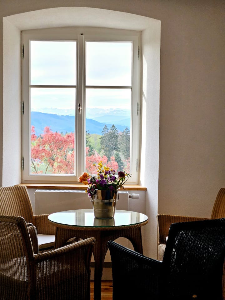 Auszeit Mit Alpenblick Im Lueginsland - Schopfheim