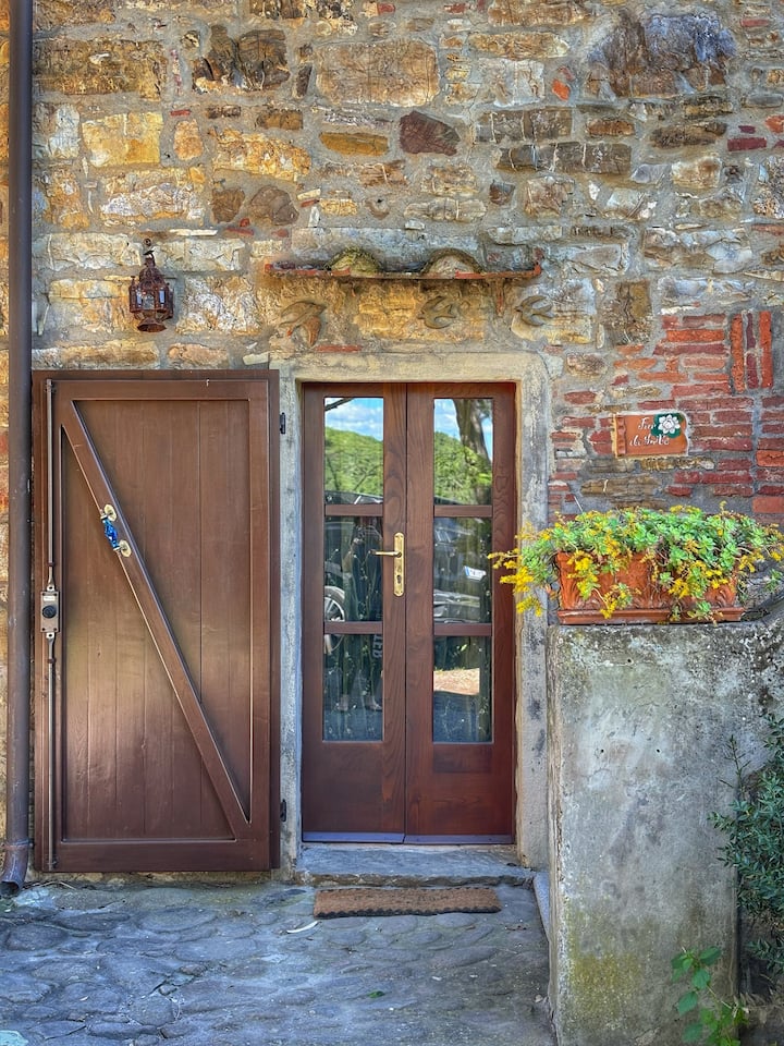 Fior Di Loto - Scarlino