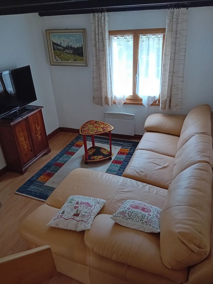 Appartement Vacances - Sion