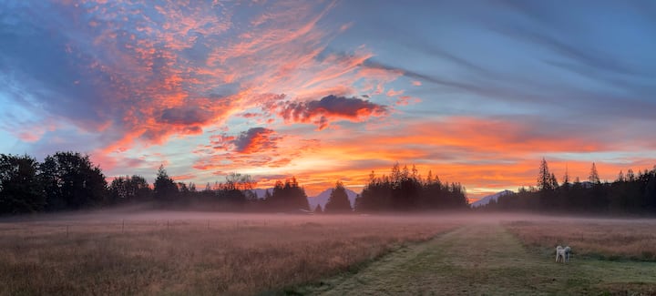“The Landing” - Monroe, WA