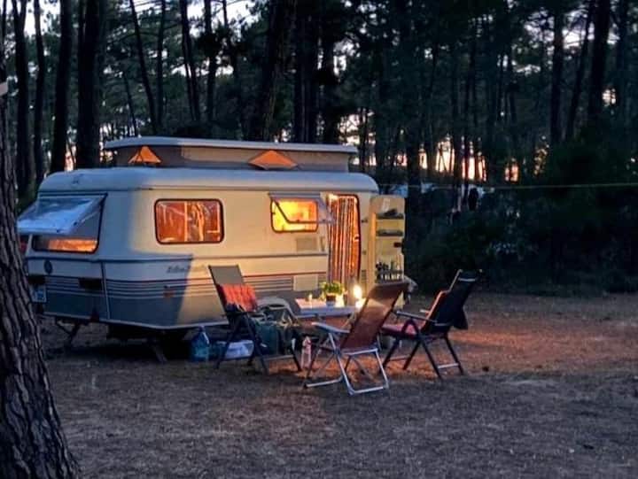 Nomadic Love – Hippie Van Under The Stars - Albox