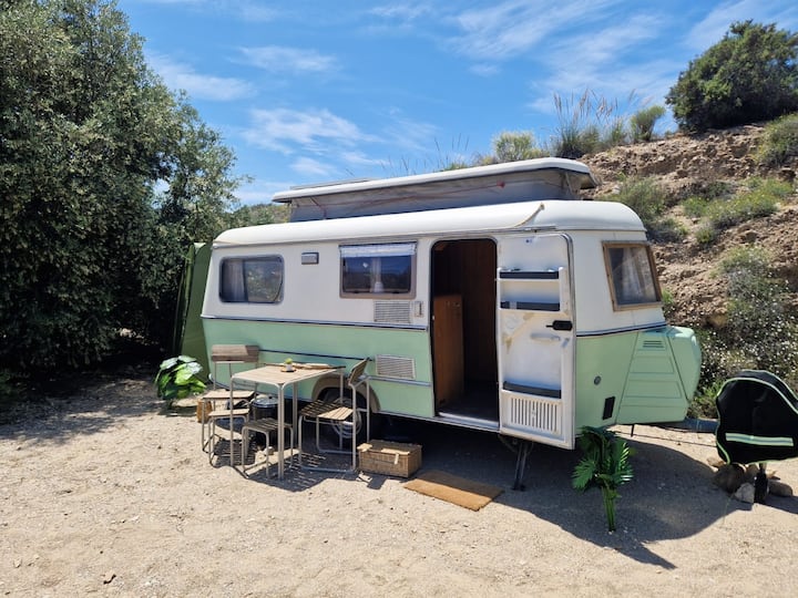 Nomadic Love  Hippie Van Under The Stars - Albox