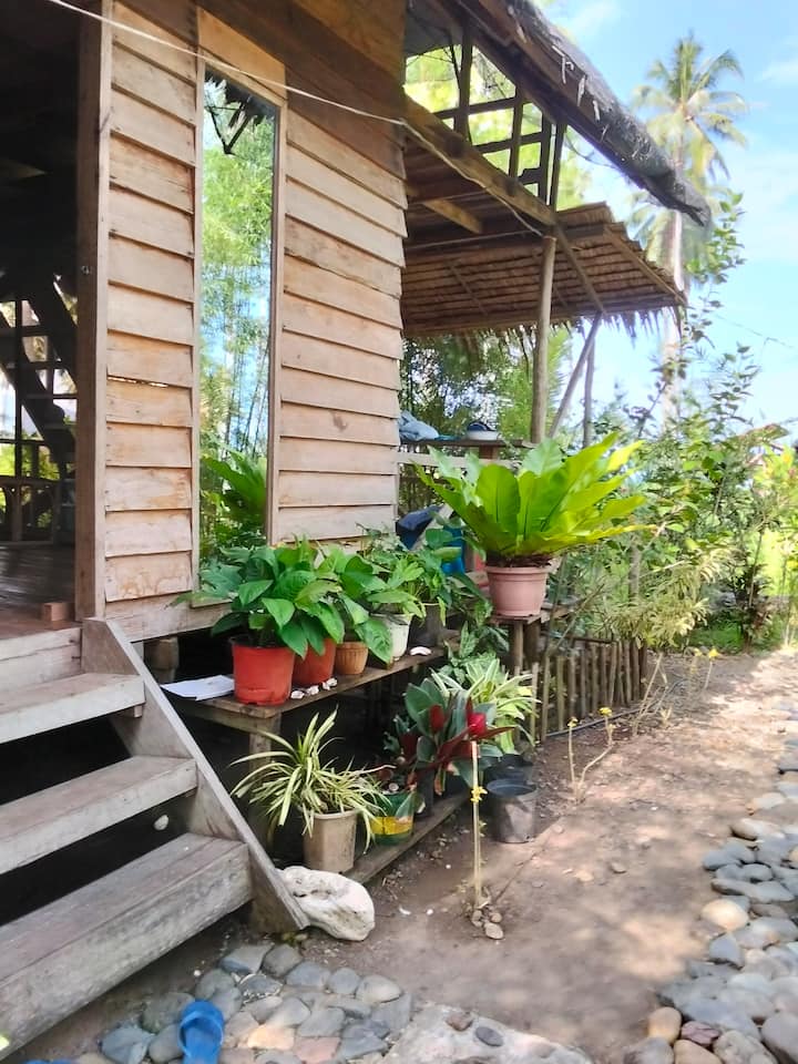 Balai Elizabeth Beach
 House - Aborlan