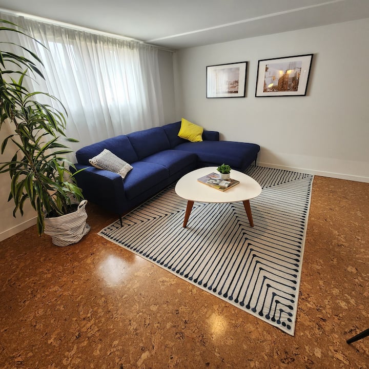 Appartement Confortable Et Moderne à Ste-foy - Levis