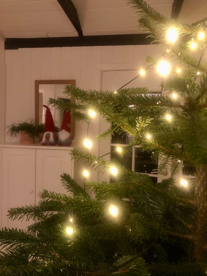 Hyggeligt Sommerhus I Smuk Natur “All Inclusive” - Denmark