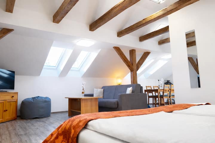 Symbiola Loft Studio - Děčín