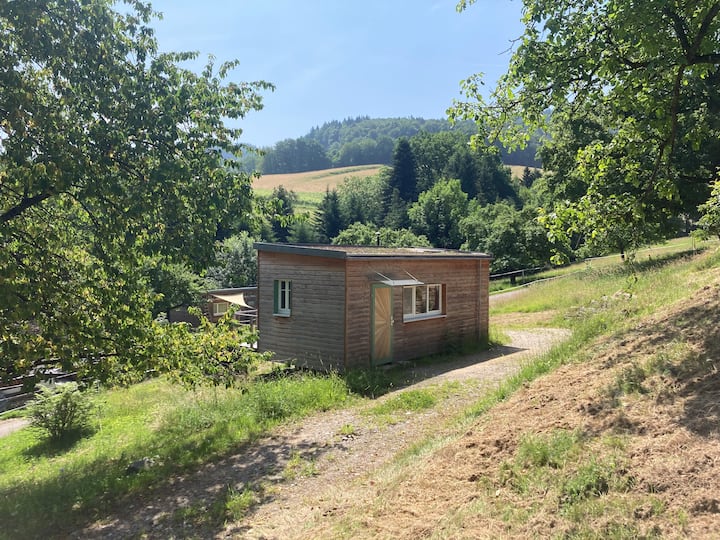 Tinyhaus Aus Vollholz Nahe Freiburg - Freiburg im Breisgau