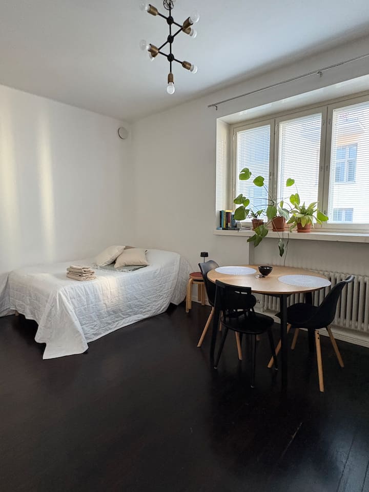 Cozy Studio Apartment - Helsinki