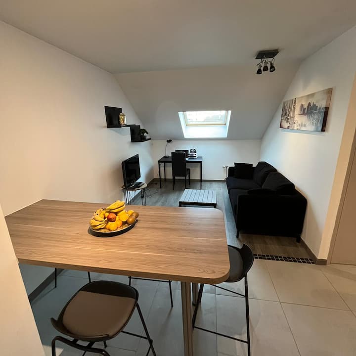 Charmant Appartement 40m2 - 1 Chambre Lit Double - Annecy