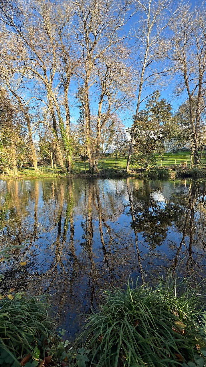 Maison En Pierre Avec éTang - Telgruc-sur-Mer