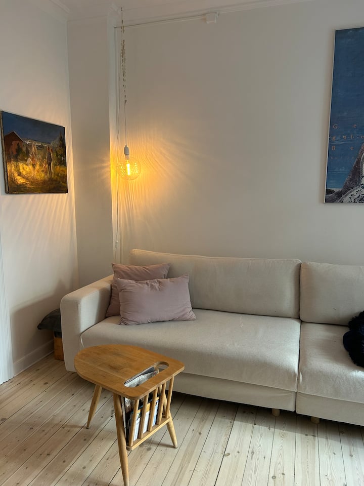 Small And Comfy Living - Copenhagen
