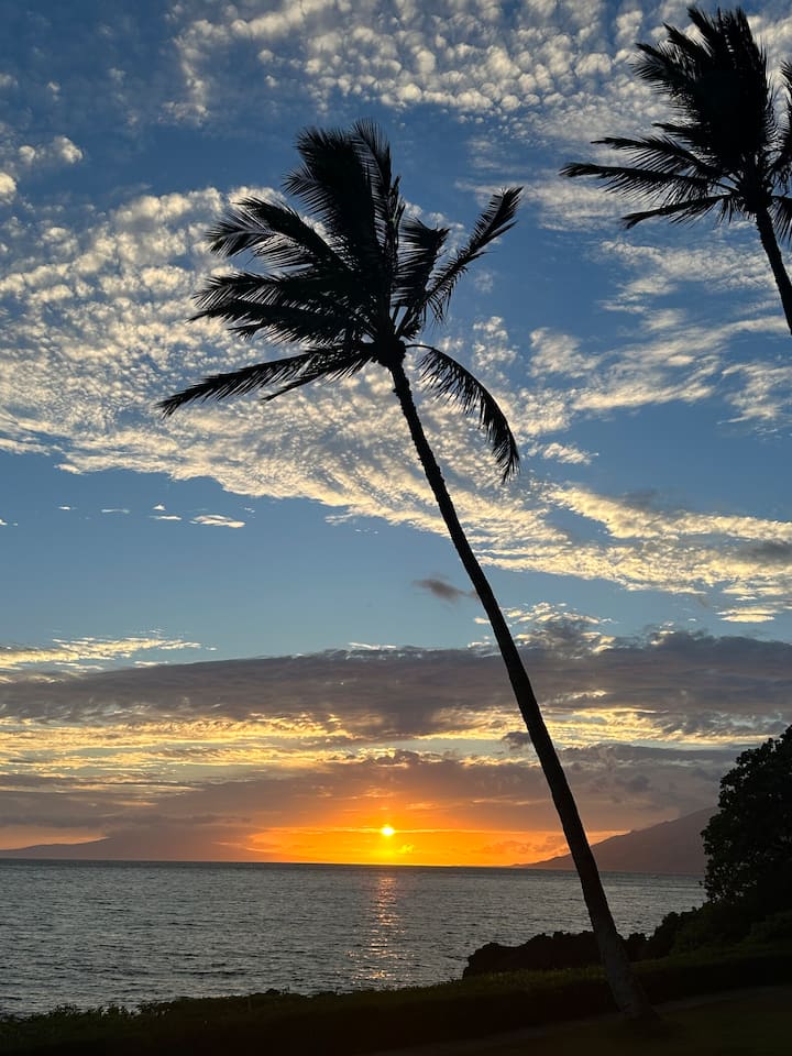 Beautiful Kihei 1st Floor Condo! - Kihei, HI