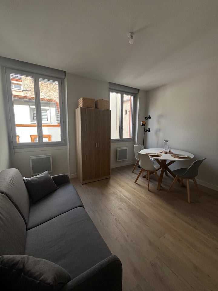 Studio Centre Toulouse - Toulouse