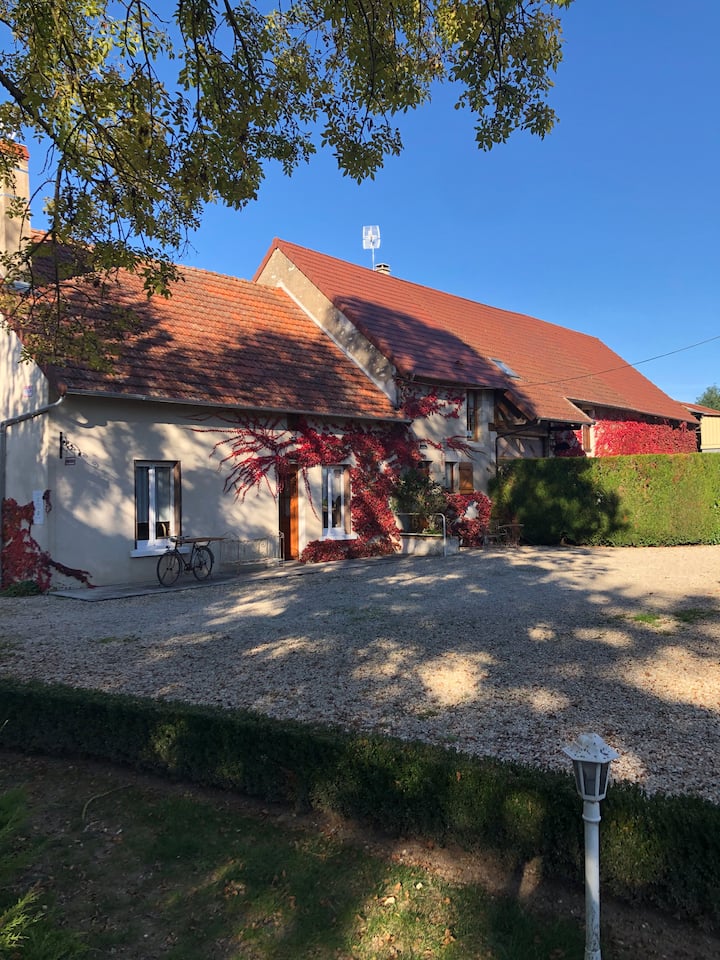 Albertine - Cosne-Cours-sur-Loire