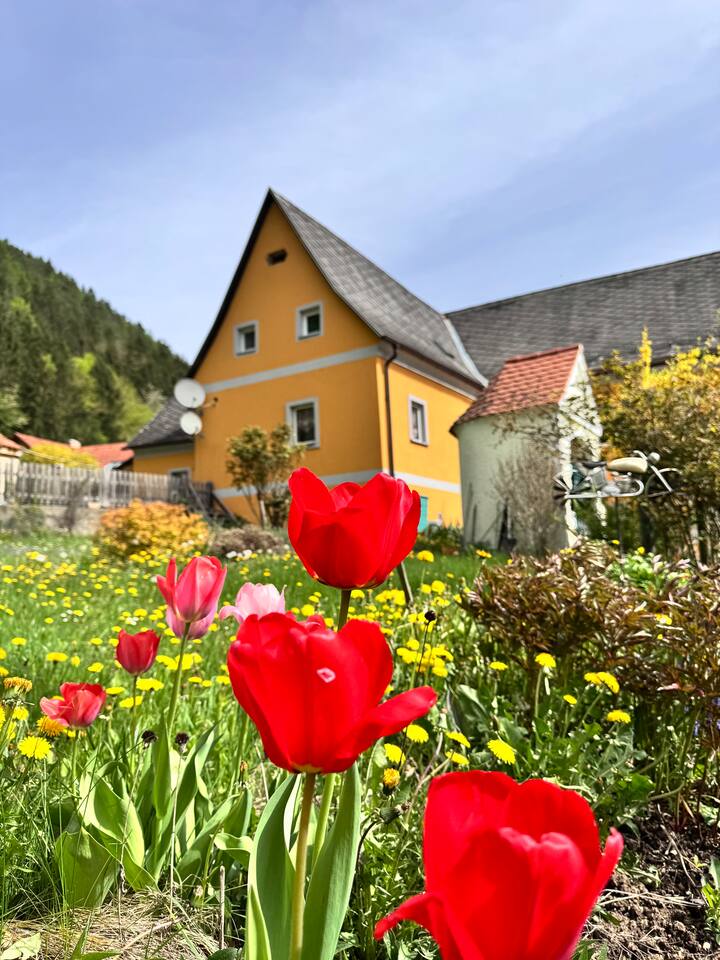 Ferienwohnung-mixnitz-bärenschützklamm 3 - Bruck an der Mur