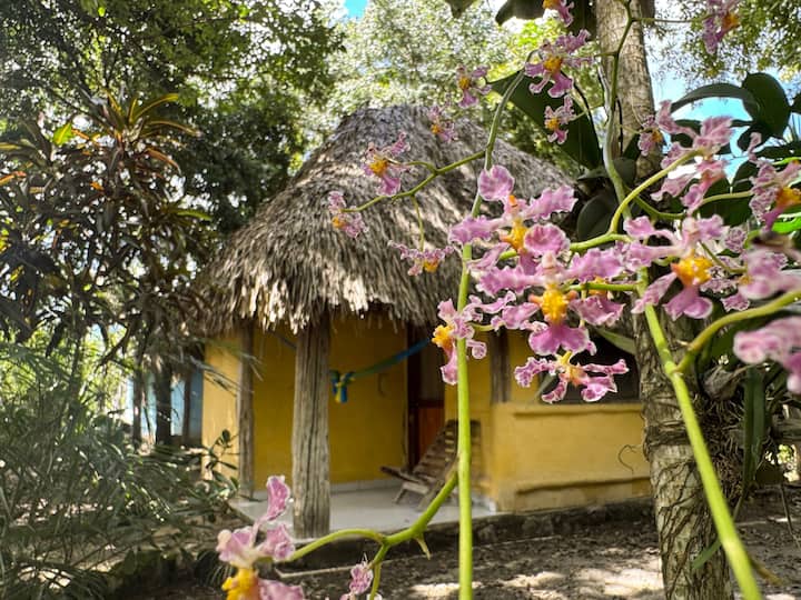 Cabaña Individual 4 - Campeche