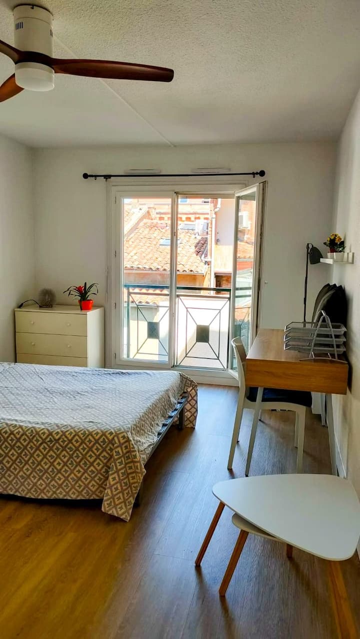 Studio Rénové Au Cœur De Saint-aubin - 圖盧茲