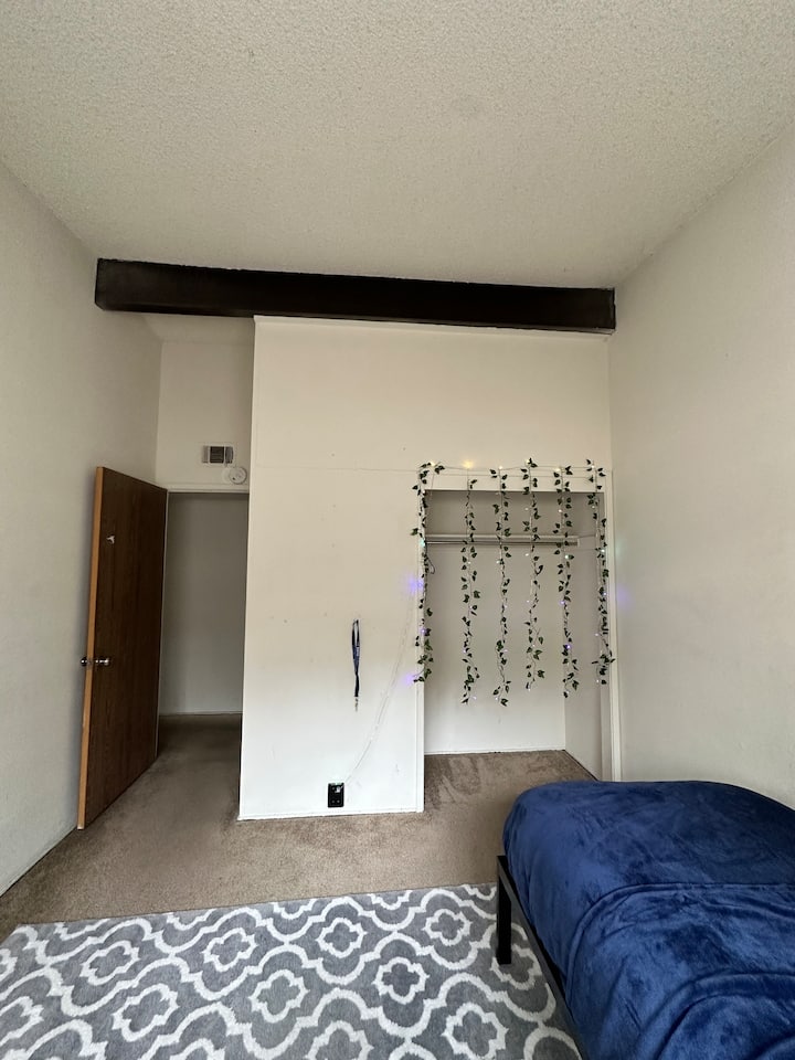 Cozy Room In Heart Of Davis - Davis, CA