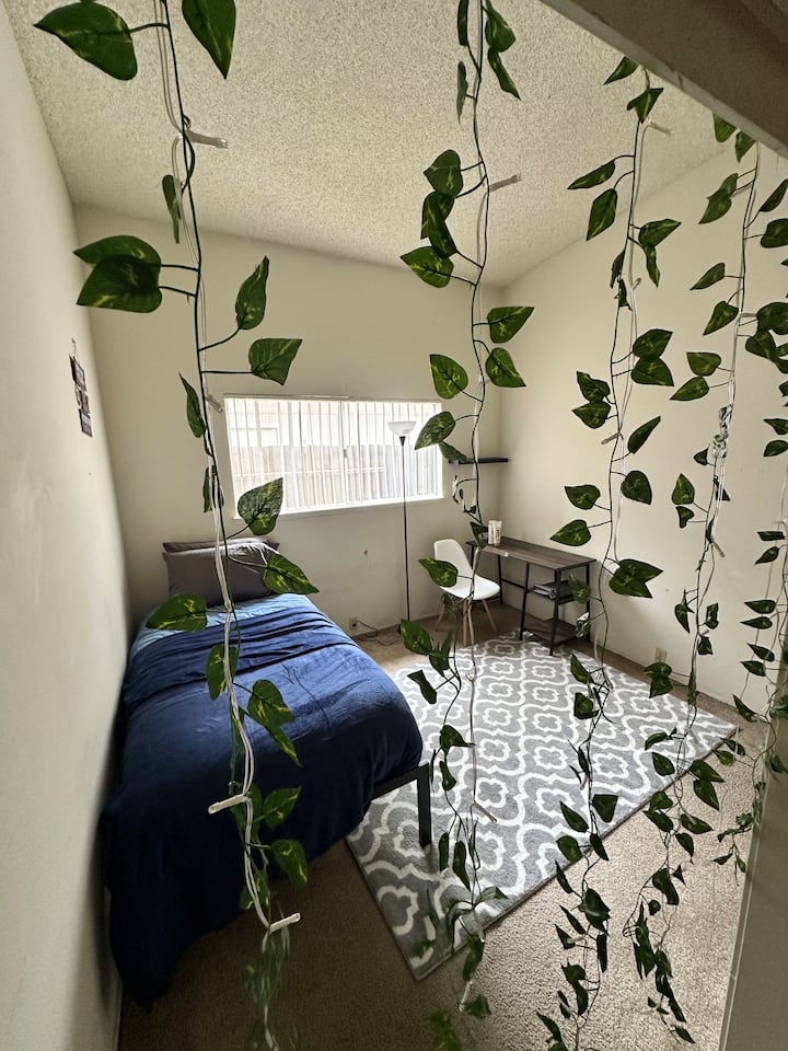 Cozy Room In Heart Of Davis - Davis, CA